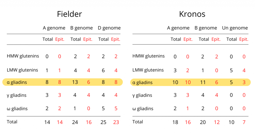 Six Month Update – Development of Celiac Disease-Safe Wheat | Celiac ...